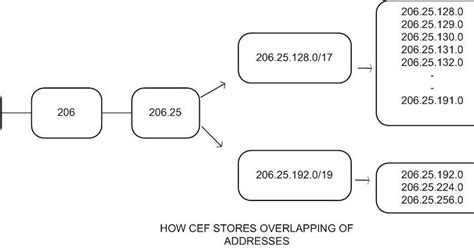 How Cef Understands Overlapping Of Ip Addresses Mplsvpn Moving Towards Sdn And Nfv Based