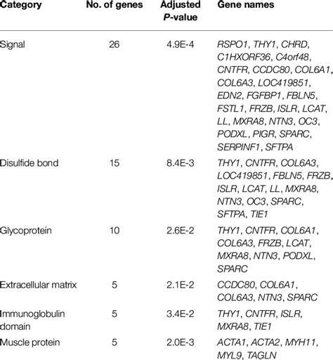 Functional Annotation Clustering Of Differentially Expressed Genes Download Table