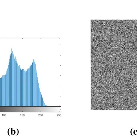 A Plain Image Barbara B Histogram Of Plain Image Barbara C Cipher Download Scientific Diagram
