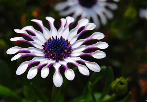 Meister Eckhart 만물은 시간 속에서 동등하고 영원하신 하느님 안에서는 더더욱 동등합니다 하느님 안에 있는 파리 한 마리를 예로 들어봅시다 하느님 안에