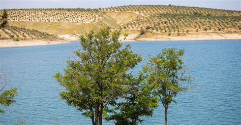 How To Hide Onlyfans On Bank Statement Spicy Accountant