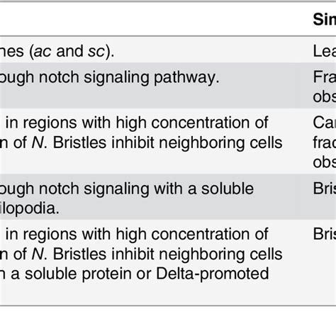 Simulation Results For Pre Destined” Lateral Inhibition” Lateral