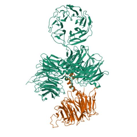 Rcsb Pdb 6fcv Structure Of The Human Ddb1 Csa Complex