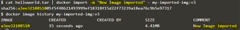 Docker Import How To Import Docker Image With Examples