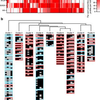 Hierarchical Clustering Results A Dendrogram Showing The Results Of