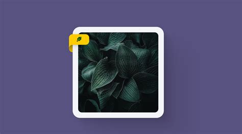 Css Tip Ribbon On Card Demo Coding