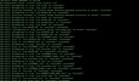 Basic Commands In Racoracle Database