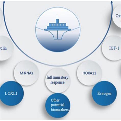 Boat In Dry Dock Conception Of Pelvic Floor Disorders As Shown In Download Scientific