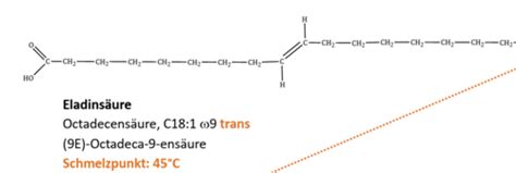 Ghe Lipide Karteikarten Quizlet