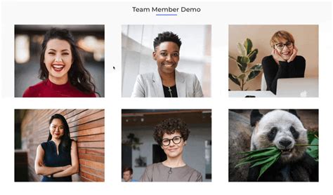 Divi Image Hover Module Divi Life