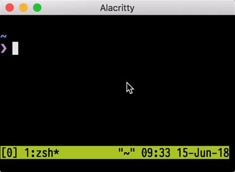 Macos Alacritty Enters Two Keys Per Key Repeat · Issue 1375