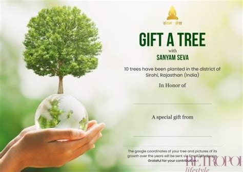 T A Tree A Plantation Drive In Sirohi Rajasthan By Sanyam Seva