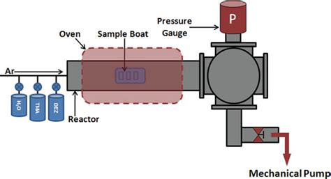 Color Online Schematic Diagram Of The Atomic Layer Deposition Reactor Download Scientific