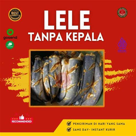 Jual Lele Tanpa Kepala Lele Bumbu Kuning Lele Frozen Lauk Ikan Frozen