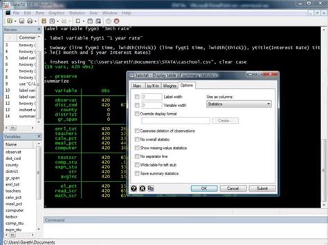 stata summary statistics pptx technology and computing