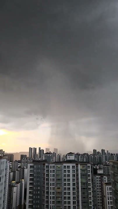 용이 하늘로 승천 하는 모습 24 7 25 Youtube