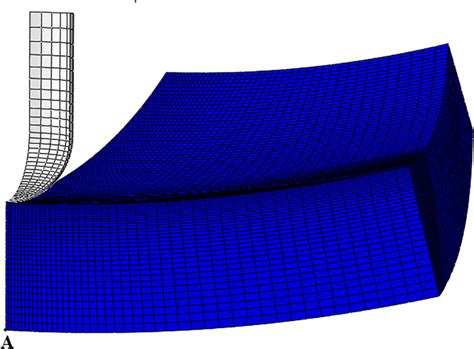 The Finite Element Model Designed For Simulation Of Hardness Rockwell Download Scientific