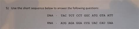 Solved A Please Translate Rna Sequence Into The Appropriate
