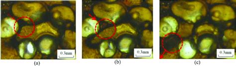 Mobilization Of Membrane Residual Oil Download Scientific Diagram