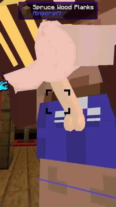 Key Moment From The Jenny Mod Fapcraft Minecraft Exploring Animations For Bee Girl And Having