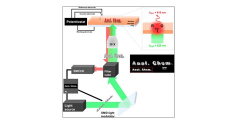 Flexible And Dynamic Light Guided Electrochemiluminescence For