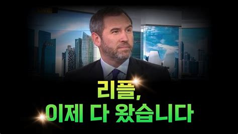 리플 진짜 끝이 보입니다 그동안 고생 많으셨습니다 Youtube