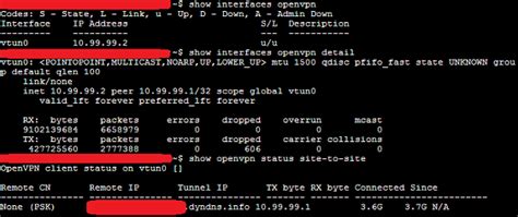 Building OpenVPN Site To Site Tunnel On Dynamic Addressing Endpoints CodeProject