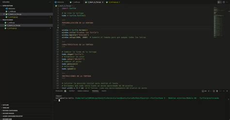 ornella gigante on linkedin programming python turtle learntocode