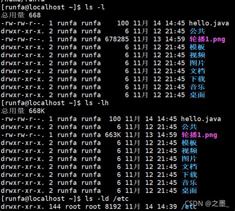 linux 目录结构、常用命令、组 linux目录是组吗 csdn博客