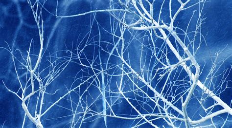 Dendrite Formation In Li Metal Batteries Successfully Tackled Alphastox