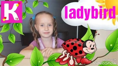 Насекомые на английском и на русском для детей Youtube