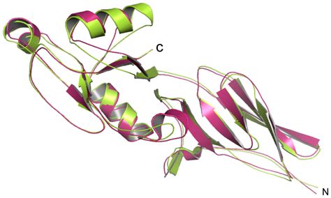 Superposition Of Int188 Between Ehec And Epec Superposition Of Ehec Download Scientific