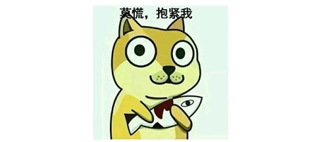 转码第一步，学java还是c？ 知乎