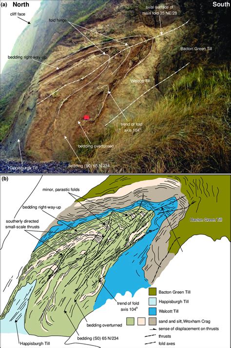 Southerly Verging Asymmetrical Fold Deforming Thinly Bedded Sands And