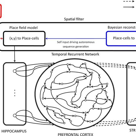 reservoir computing model the temporal recurrent network trn is a