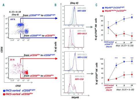 The Early Expansion Of Anergic Nkg2aposcd56dimcd16neg Natural Killer