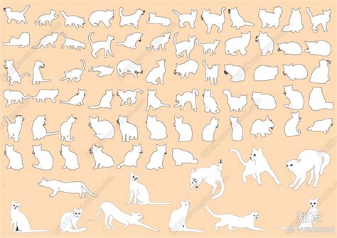 Psd免抠精致线稿风猫咪贴图下载【id 1152022020】 【知末网贴图库】