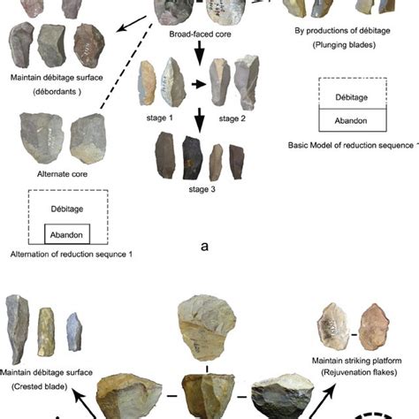Two Blade Reduction Sequences In Sdg1 Download Scientific Diagram