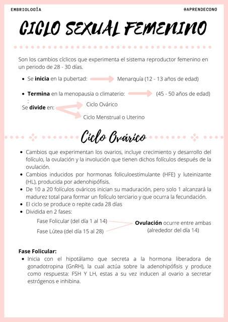 CICLO SEXUAL FEMENINO Aprendecong Obste UDocz CICLO SEXUAL FEMENINO Aprendecong Obste UDocz