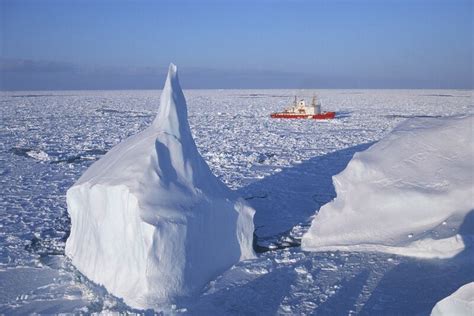 Elaine Farrow Posted On Linkedin