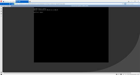 Host It Tutorials Client Portal Tutorials Access Your VPS From The VNC Console