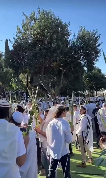 초막절 이스라엘 Youtube