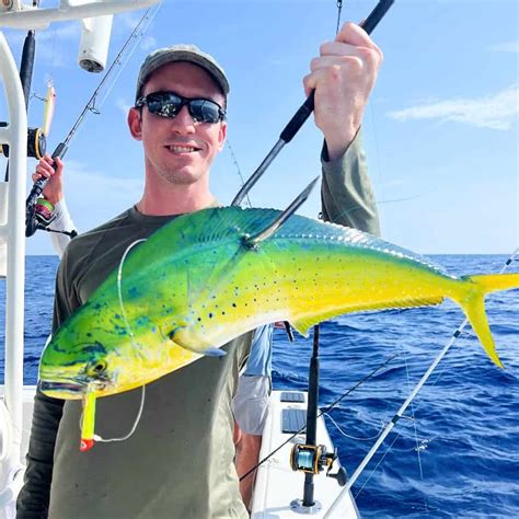 5 Best Mahi Mahi Rods 2024 Tested And Reviewed Juran Adventures