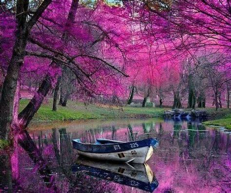 Amazing Colors Beautiful Landscapes Scenery Beautiful Places