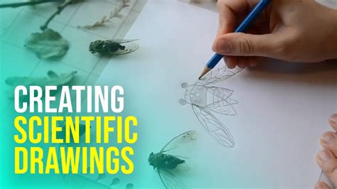 How To Draw A Scientific Drawing