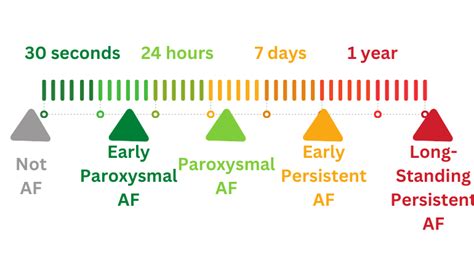 The 2024 Catheter Ablation For Afib Guidelines Whats New