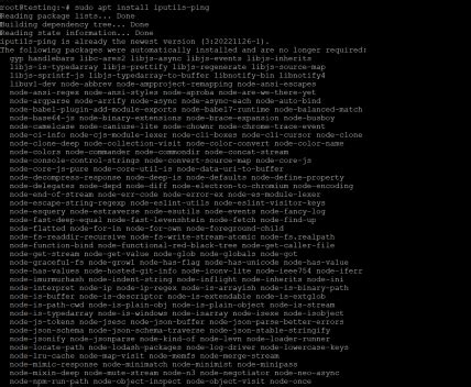 Ping Command Not Found How To Install Ping In Ubuntu ALexHost SRL