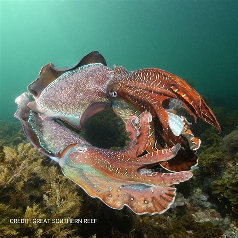 Khalid Mohammed Posted On Linkedin