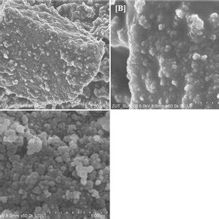 SEM Images Taken For A B Starting TiO2 Captured At Different Download Scientific Diagram
