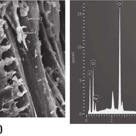 5 Sem Micrograph I And Edx Spectrum Ii Of Fecl Download